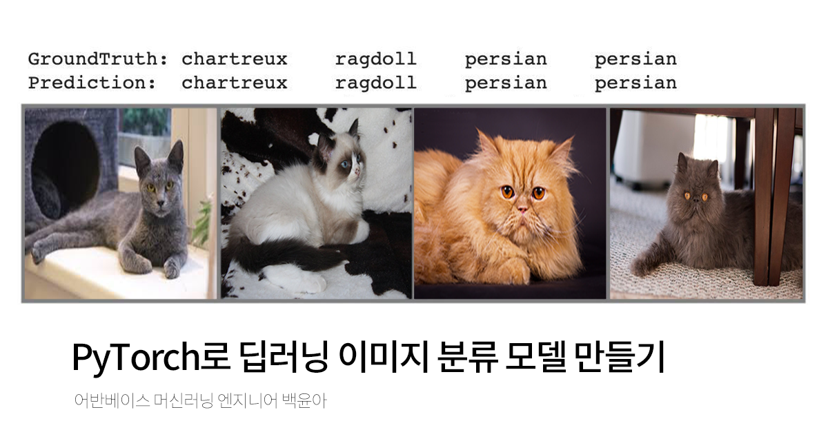 Sagemaker에서 Pytorch를 활용한 딥러닝 이미지 분류 모델 학습 및 배포